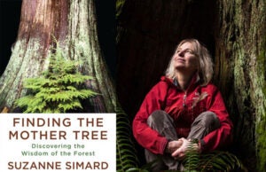 Suzanne-Simard-Finding-the-Mother-Tree - Penguin Random House Speakers ...