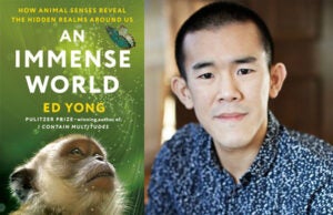 Ed Yong - An Immense World - Penguin Random House Speakers Bureau